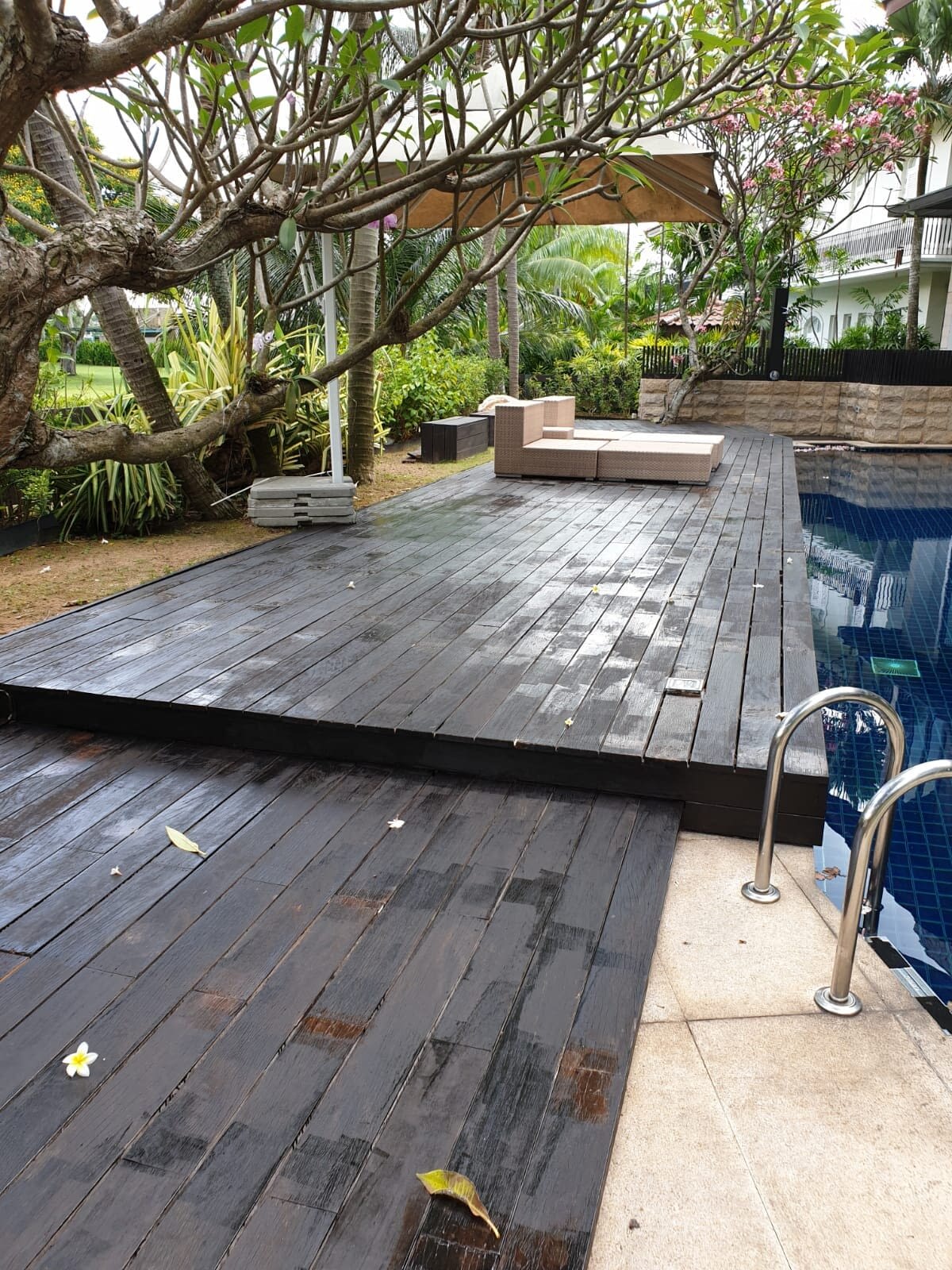 Landscape Maintenance | Project Green