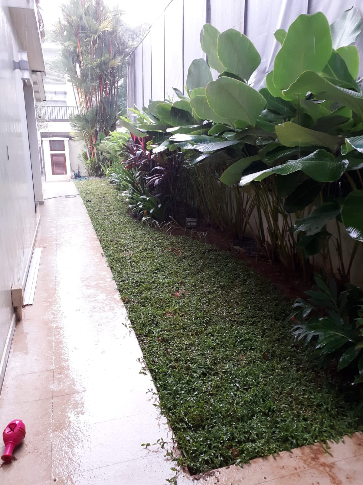 Landscape Maintenance | Project Green